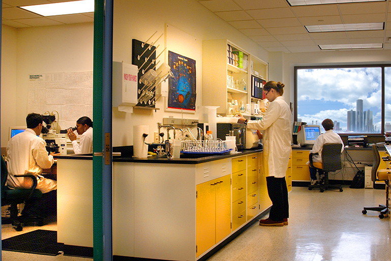 MDS Research Fund Description - Vera and Joseph Dresner Foundation